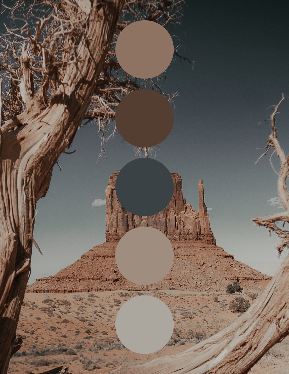 Get color palette inspiration from nature