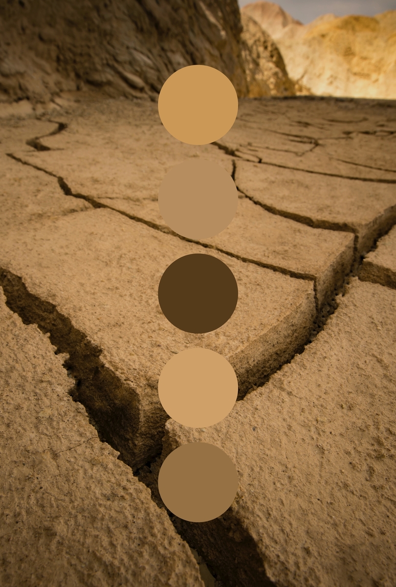 Get color palette inspiration from nature - colorpalettes.earth