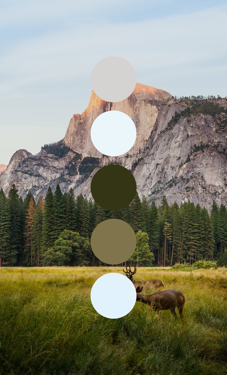 Get color palette inspiration from nature