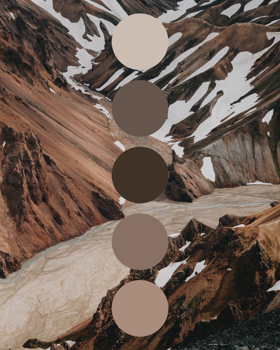 Get color palette inspiration from nature