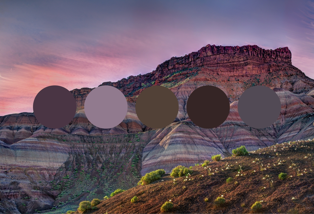 Get color palette inspiration from nature