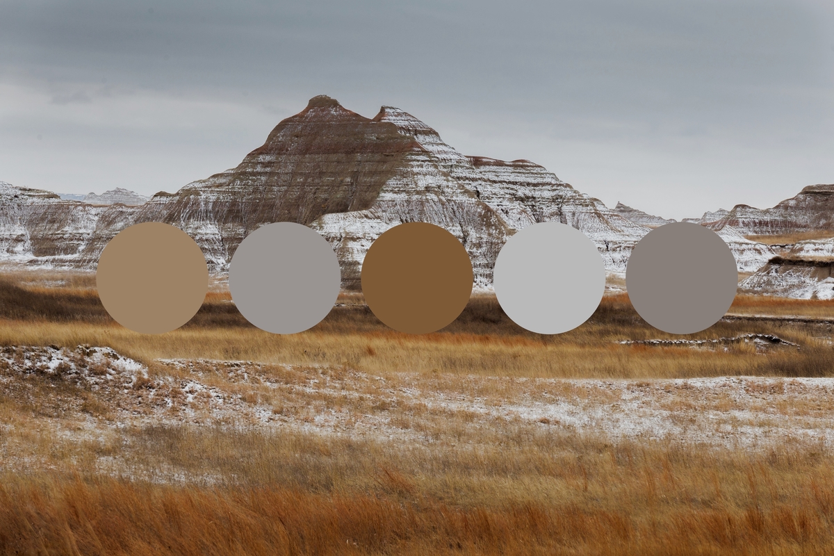 Get color palette inspiration from nature