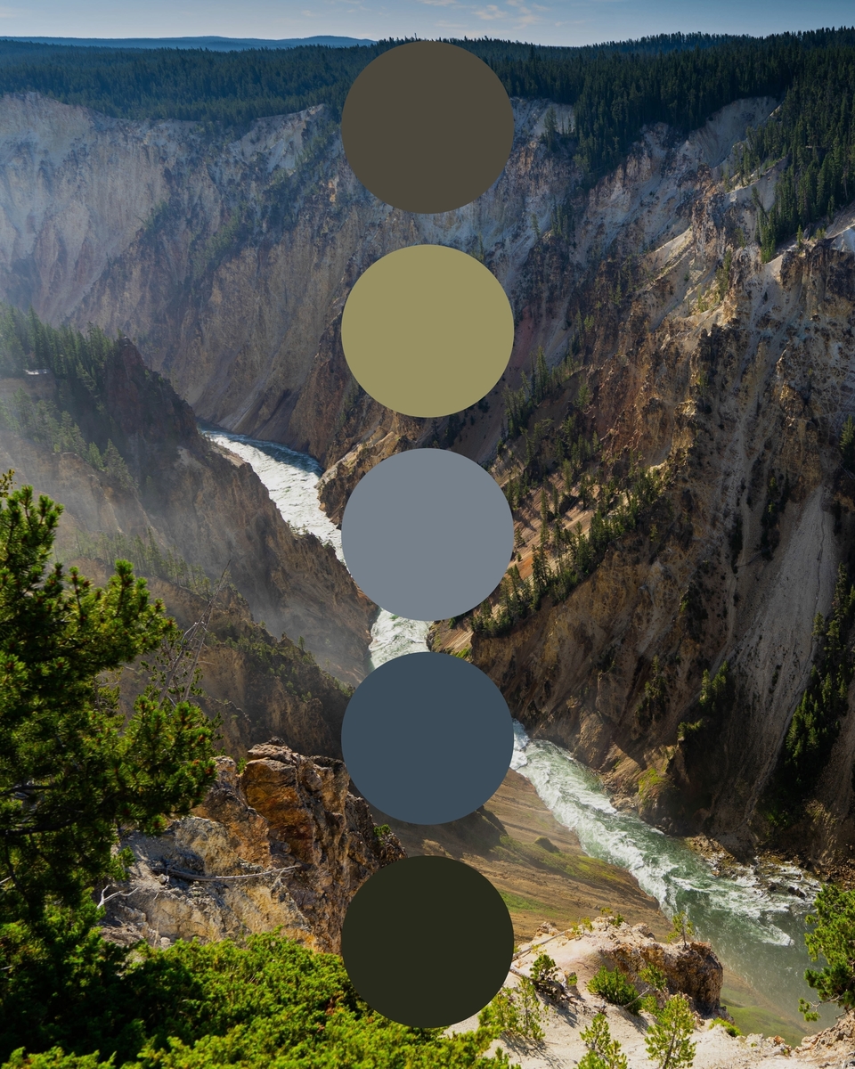 Get color palette inspiration from nature