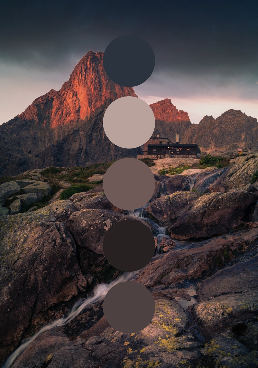 Get color palette inspiration from nature