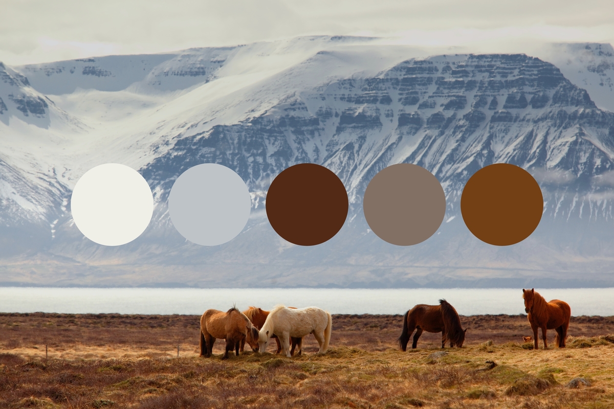 Get color palette inspiration from nature
