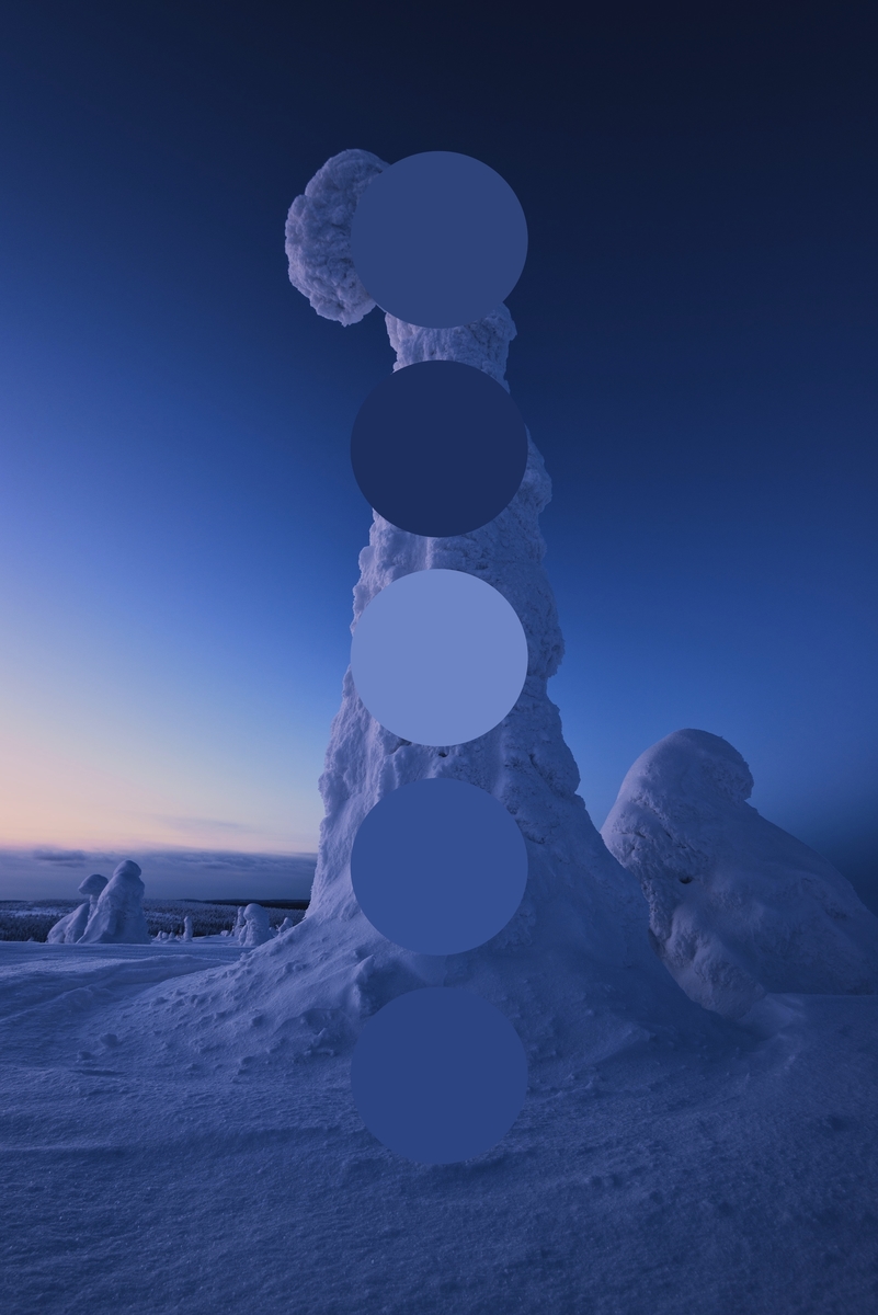 Get color palette inspiration from nature