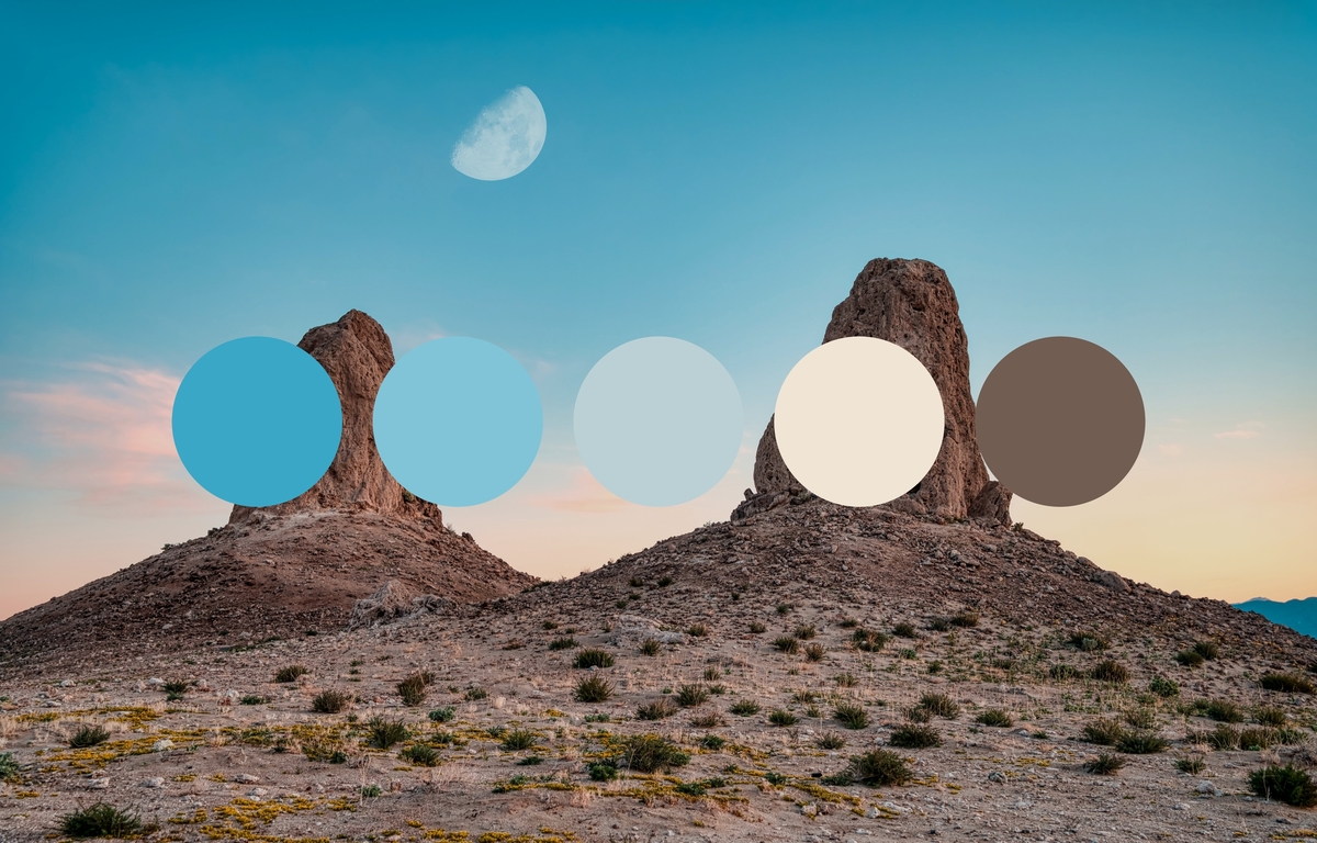 Get color palette inspiration from nature - colorpalettes.earth