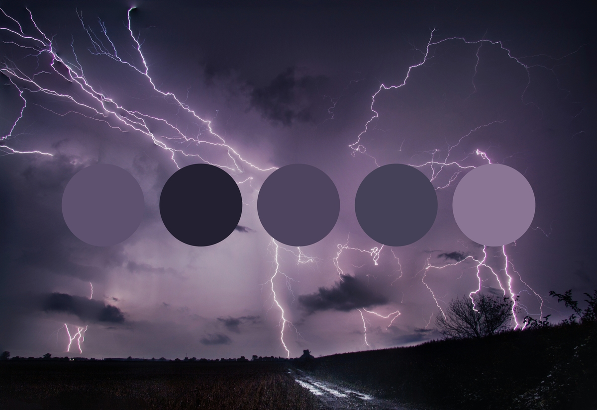 Get color palette inspiration from nature