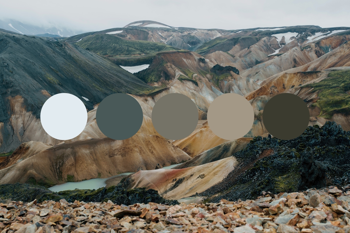 Get color palette inspiration from nature