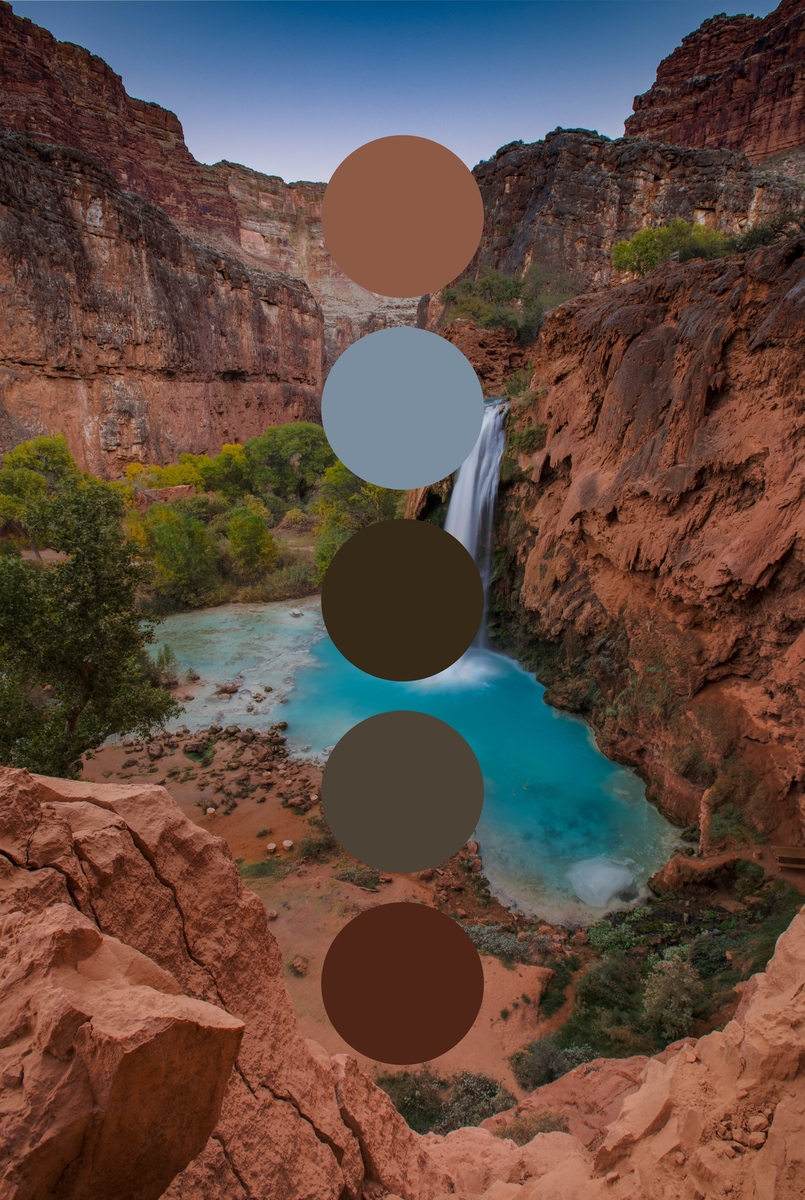 Get color palette inspiration from nature