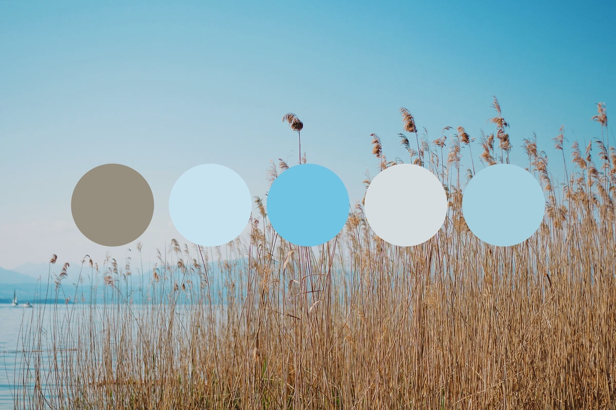 Get color palette inspiration from nature