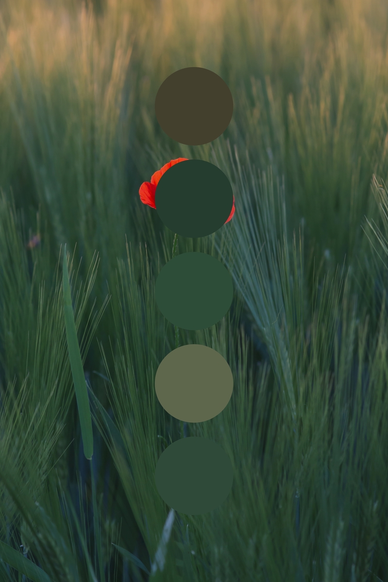 Get color palette inspiration from nature