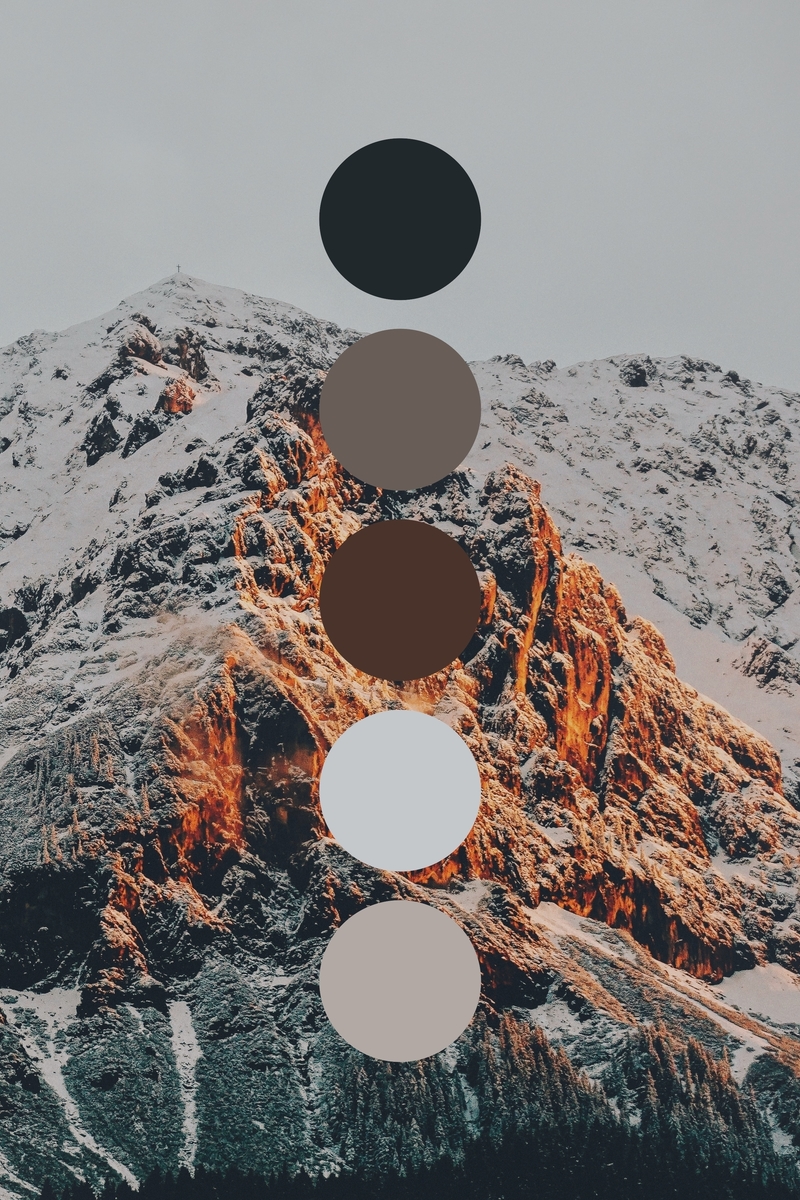 Get color palette inspiration from nature