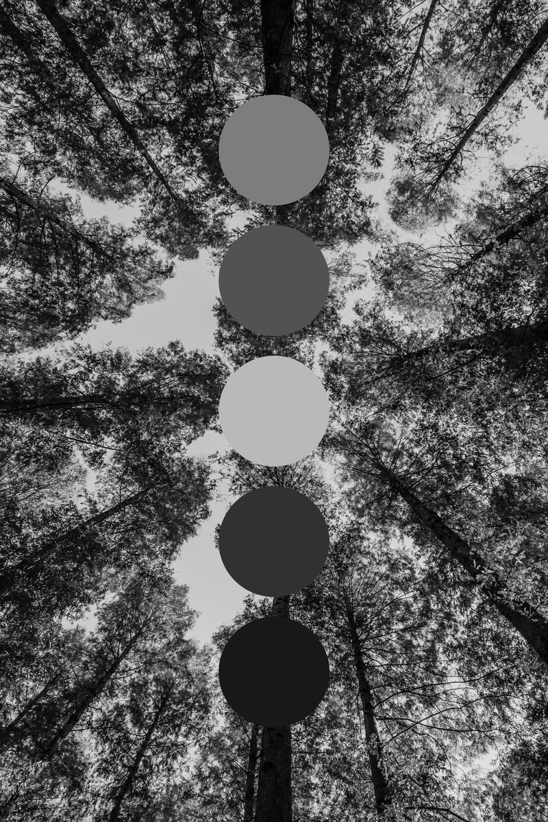 Get color palette inspiration from nature