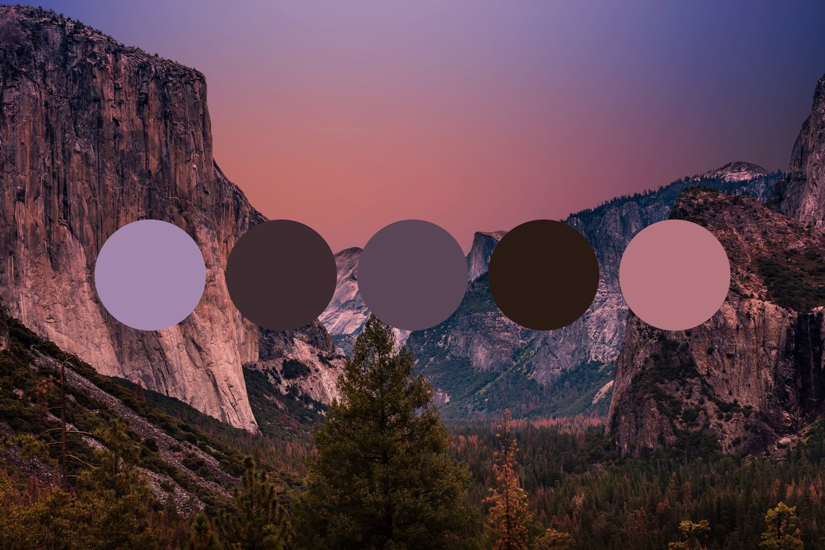 Get color palette inspiration from nature