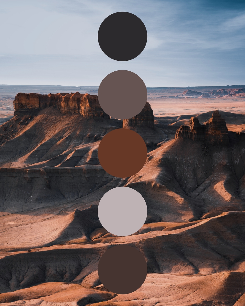 Get color palette inspiration from nature