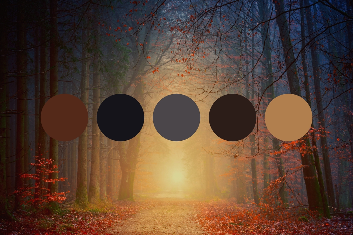 Get color palette inspiration from nature