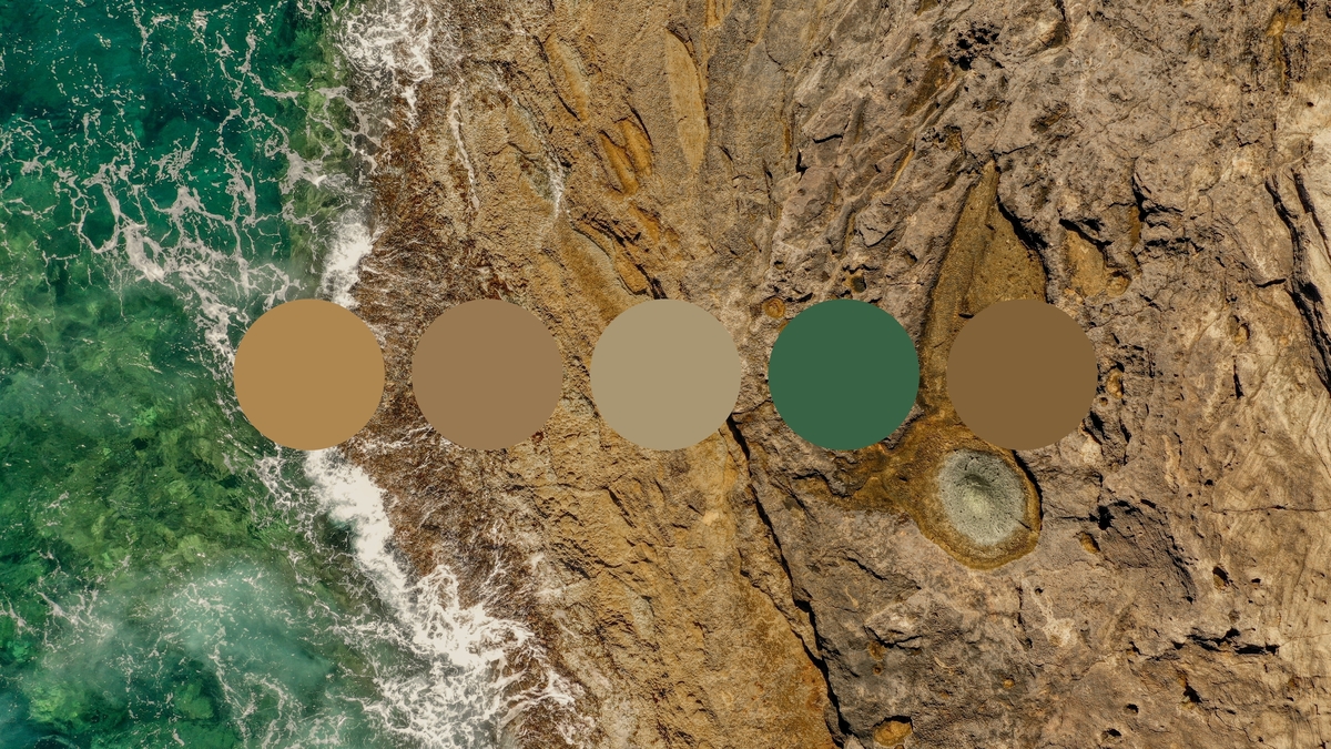 Get color palette inspiration from nature