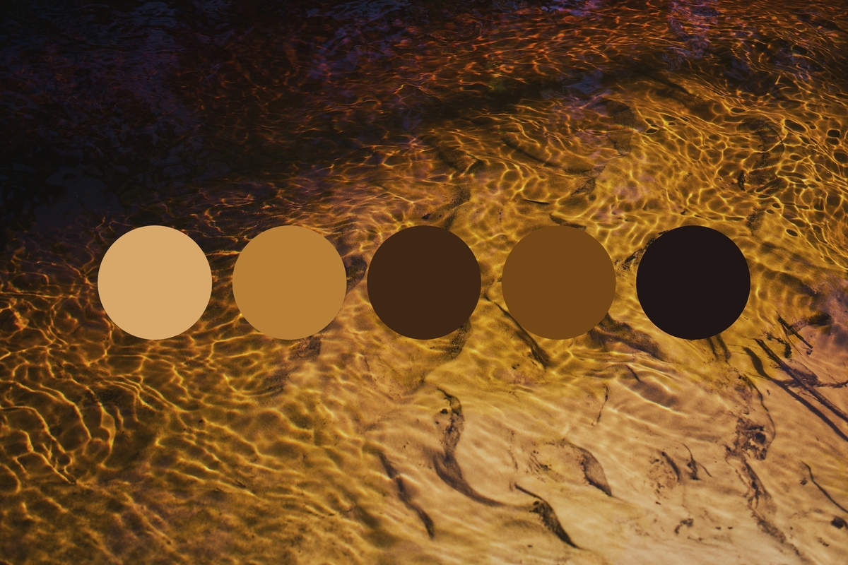 Get color palette inspiration from nature