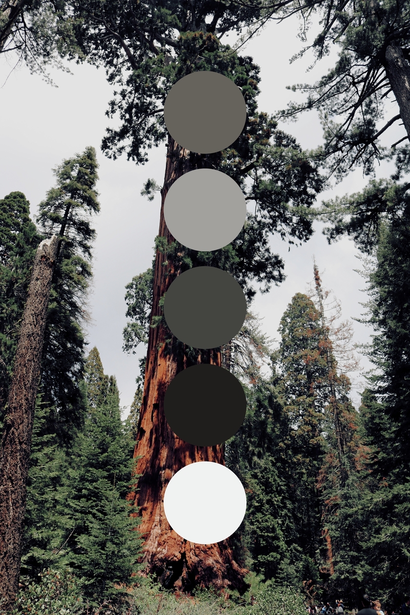 Get color palette inspiration from nature