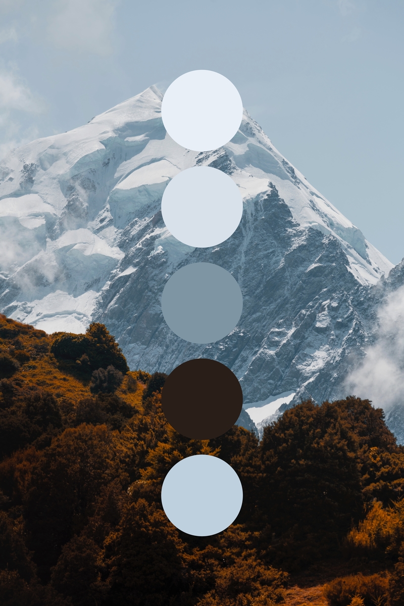 Get color palette inspiration from nature