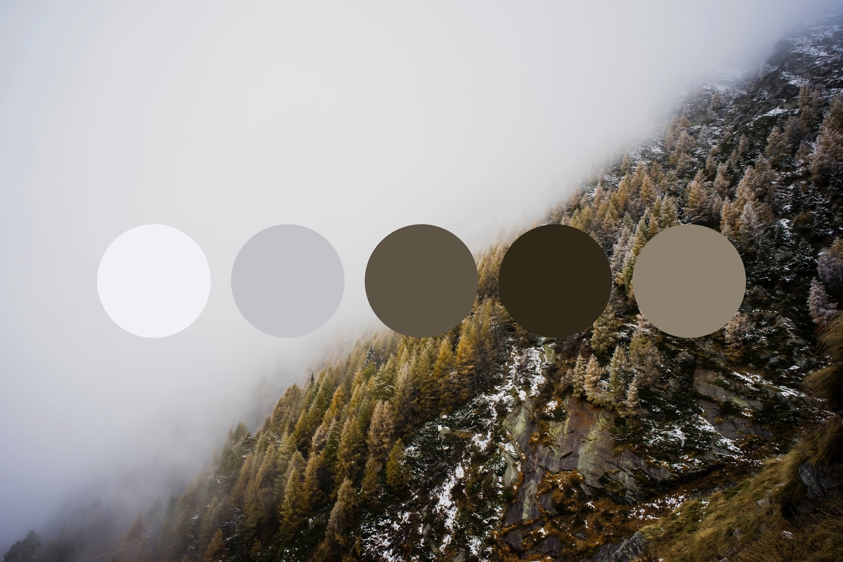 Get color palette inspiration from nature