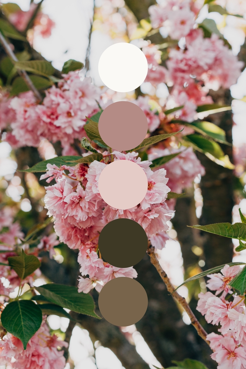 Get color palette inspiration from nature