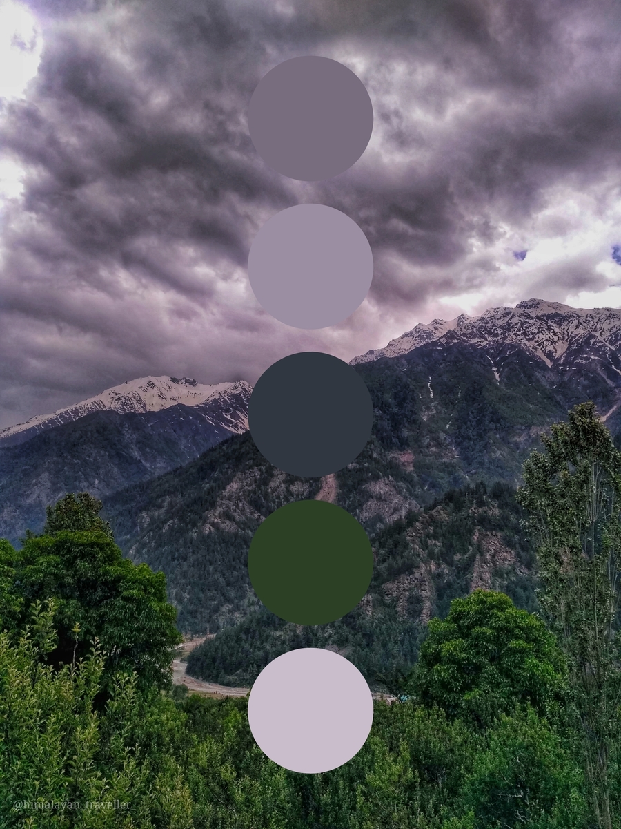 Get color palette inspiration from nature