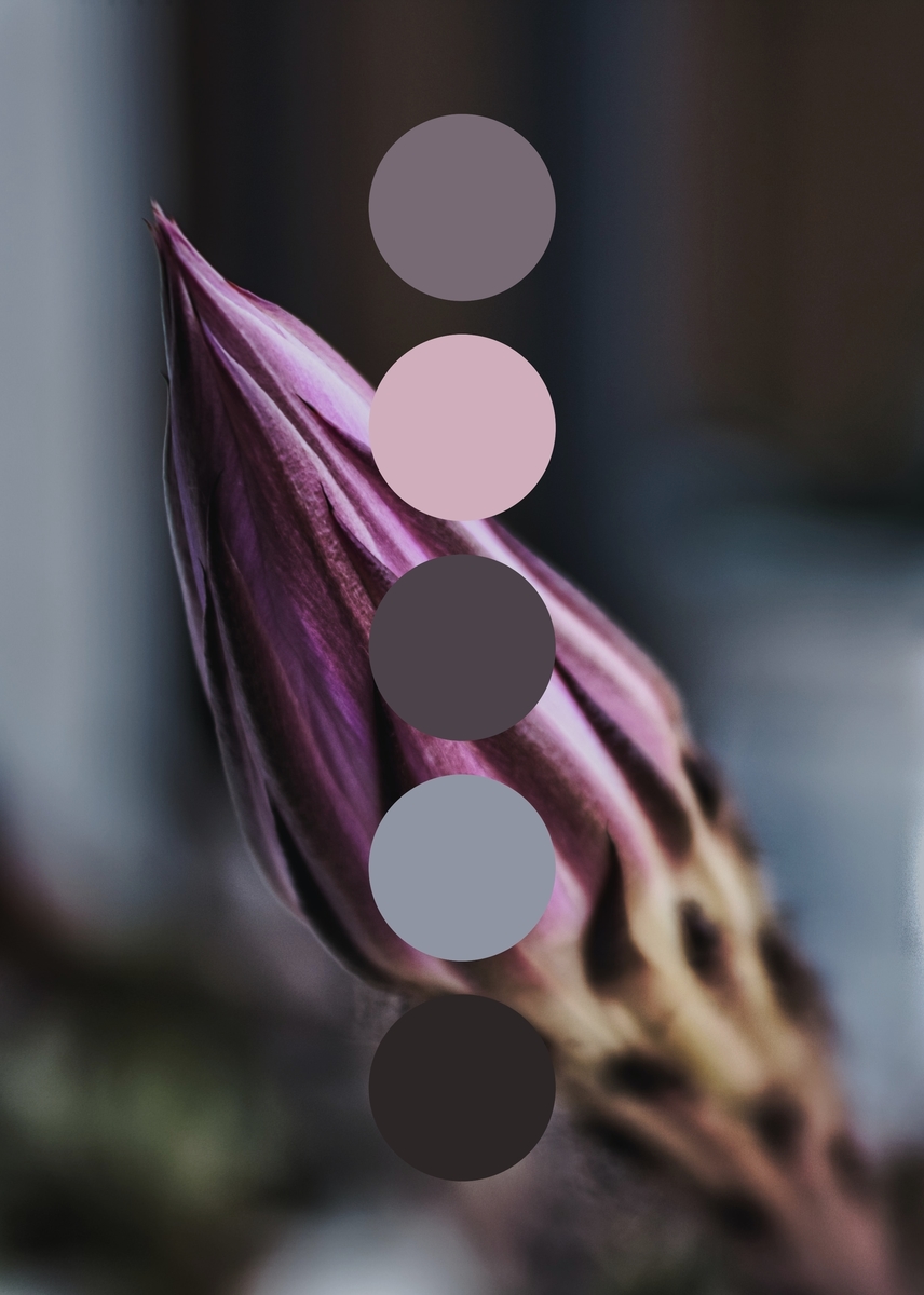 Get color palette inspiration from nature