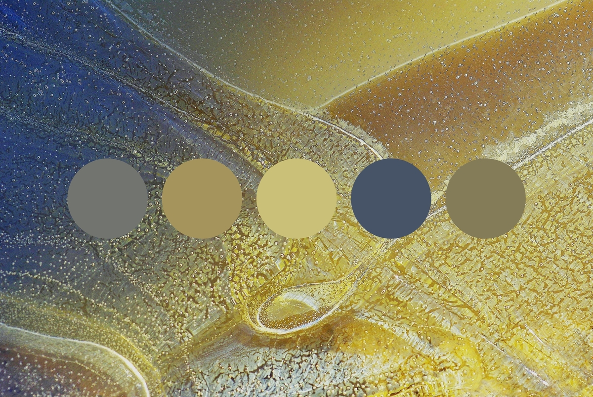 Get color palette inspiration from nature