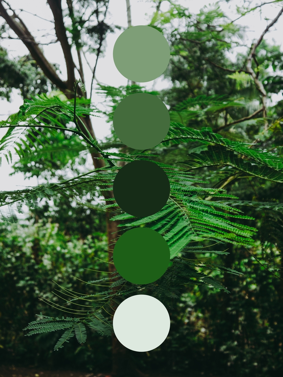 Get color palette inspiration from nature