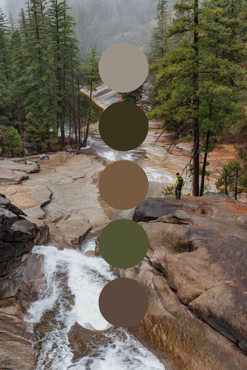 Get color palette inspiration from nature