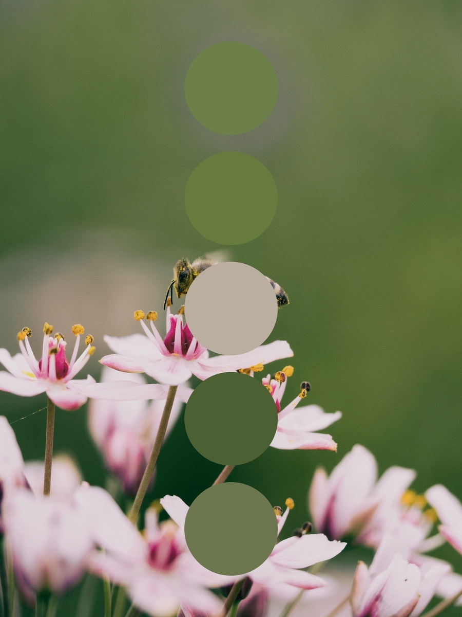 Get color palette inspiration from nature