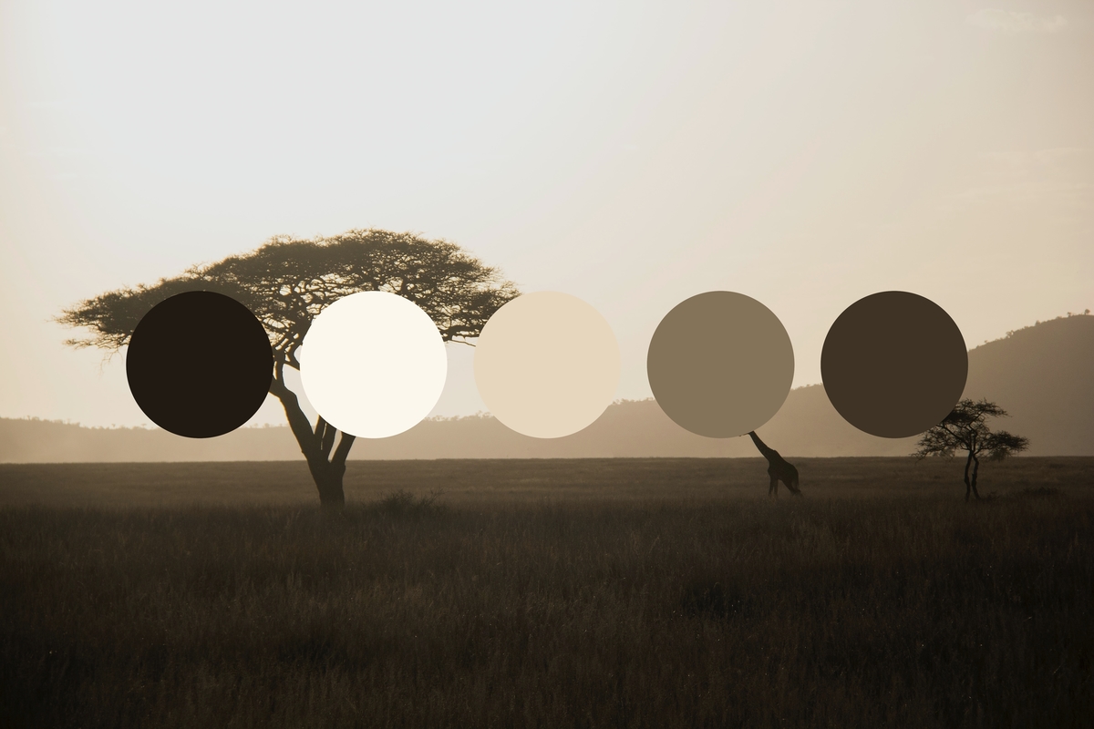 Get color palette inspiration from nature