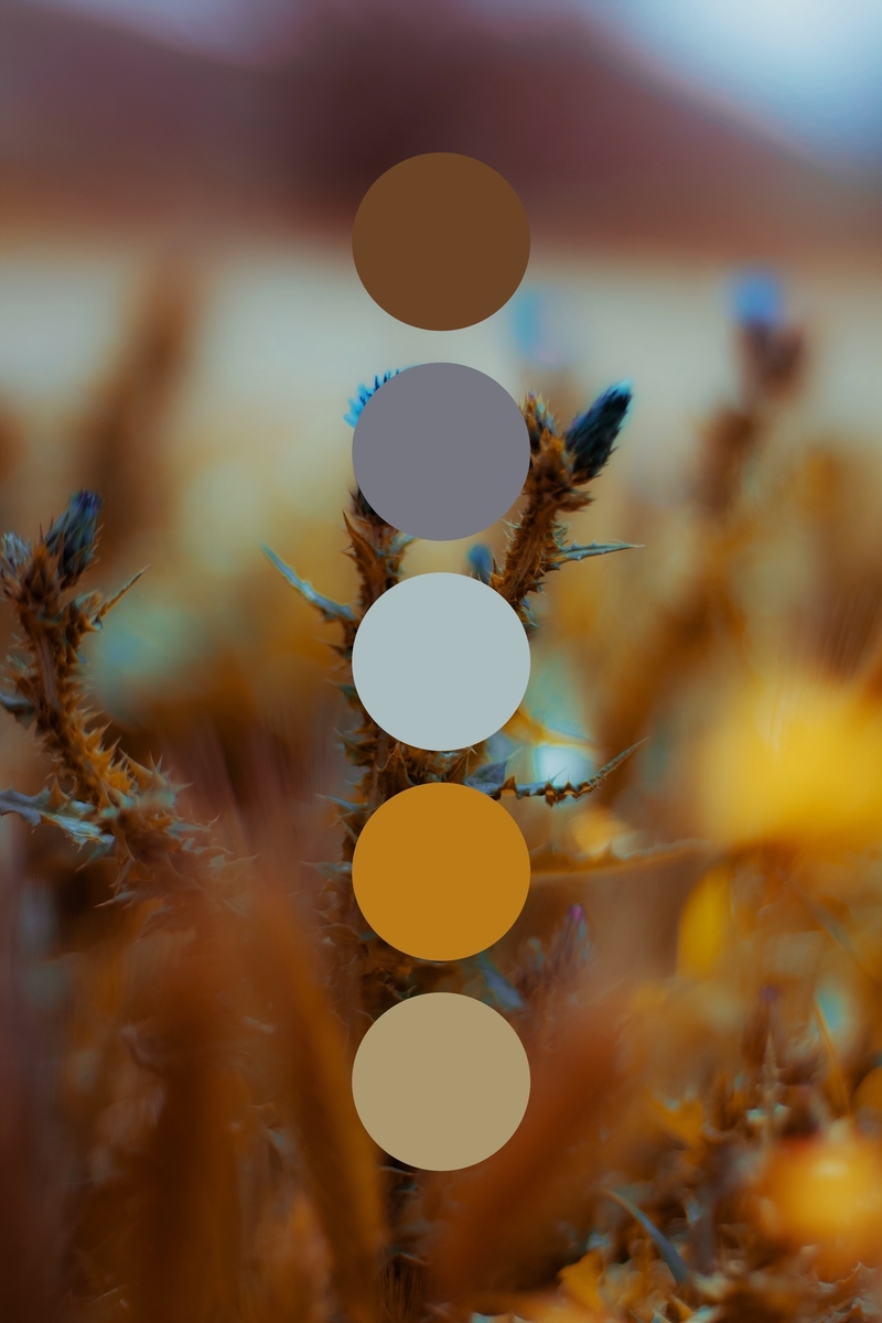 Get color palette inspiration from nature