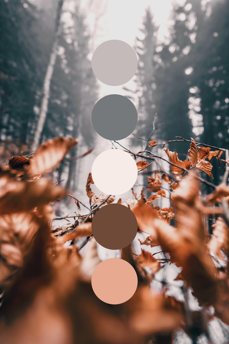 Get color palette inspiration from nature