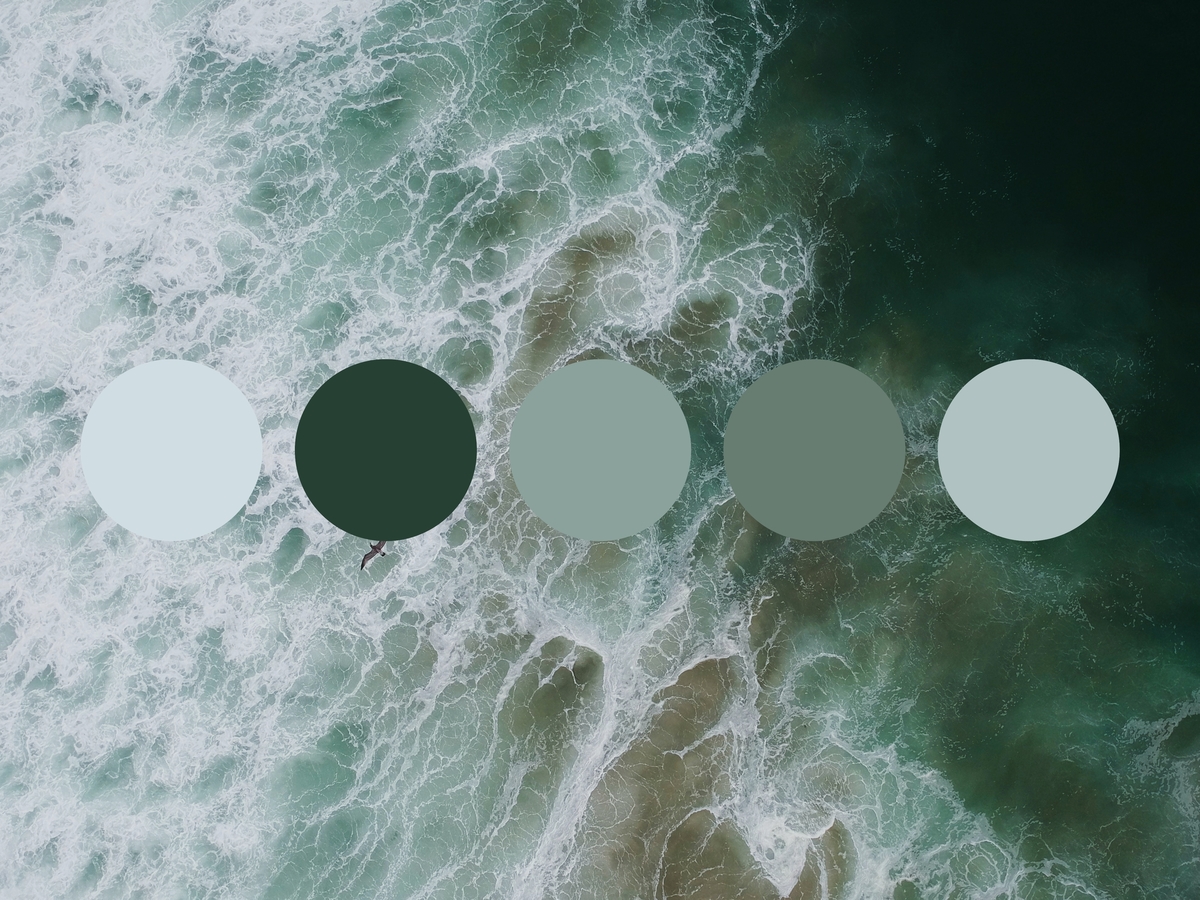 Get color palette inspiration from nature