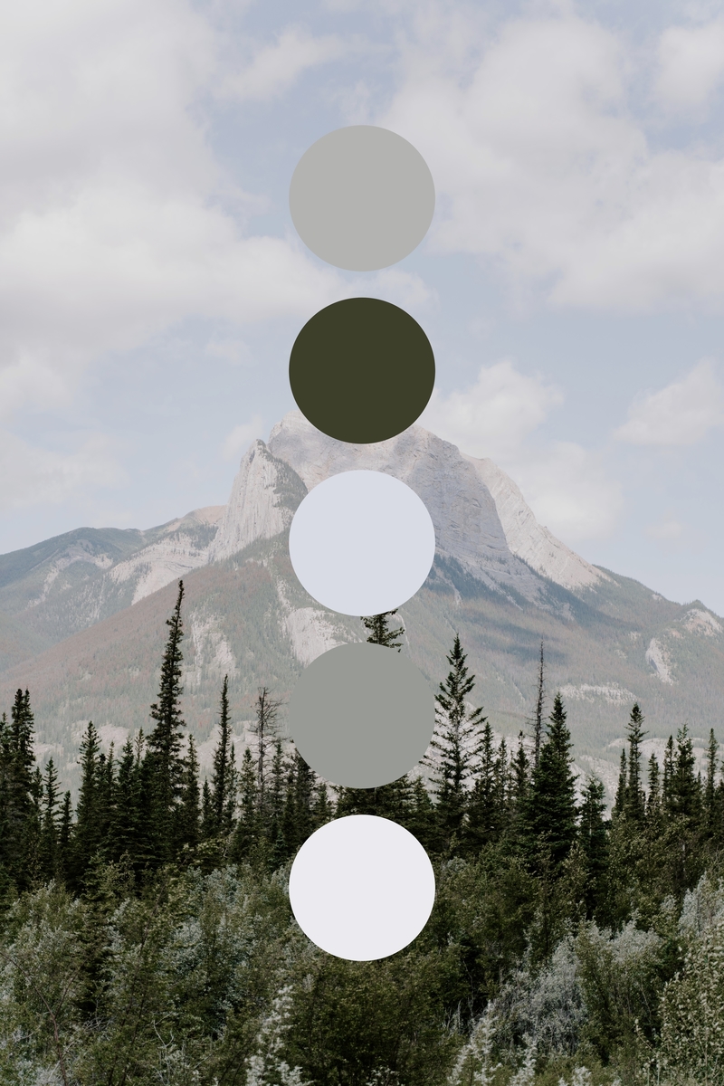 Get color palette inspiration from nature