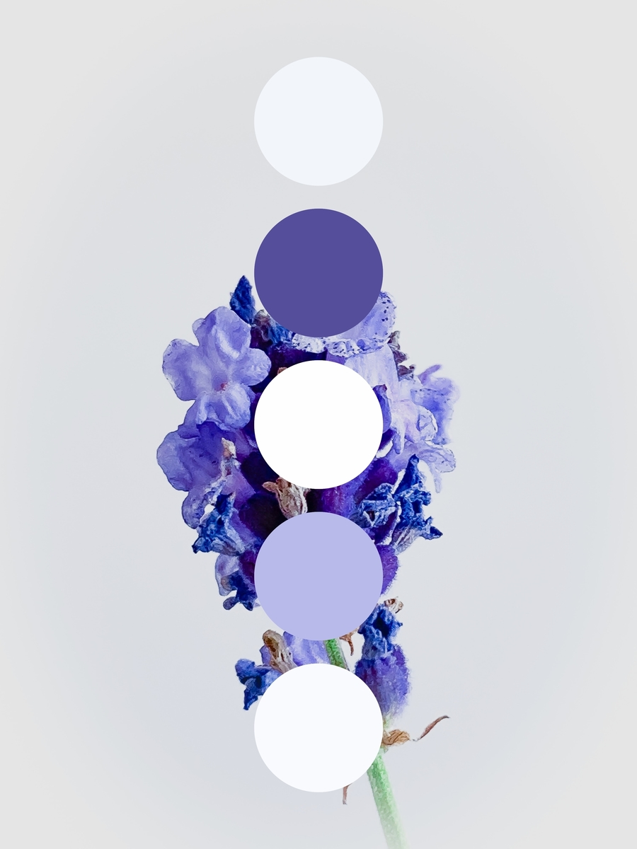 Get color palette inspiration from nature