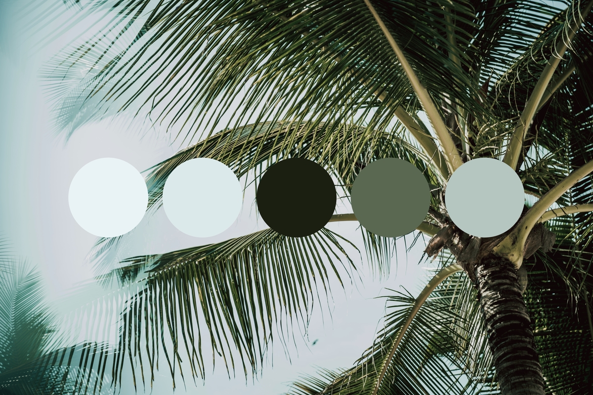 Get color palette inspiration from nature