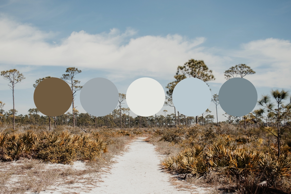 Get color palette inspiration from nature