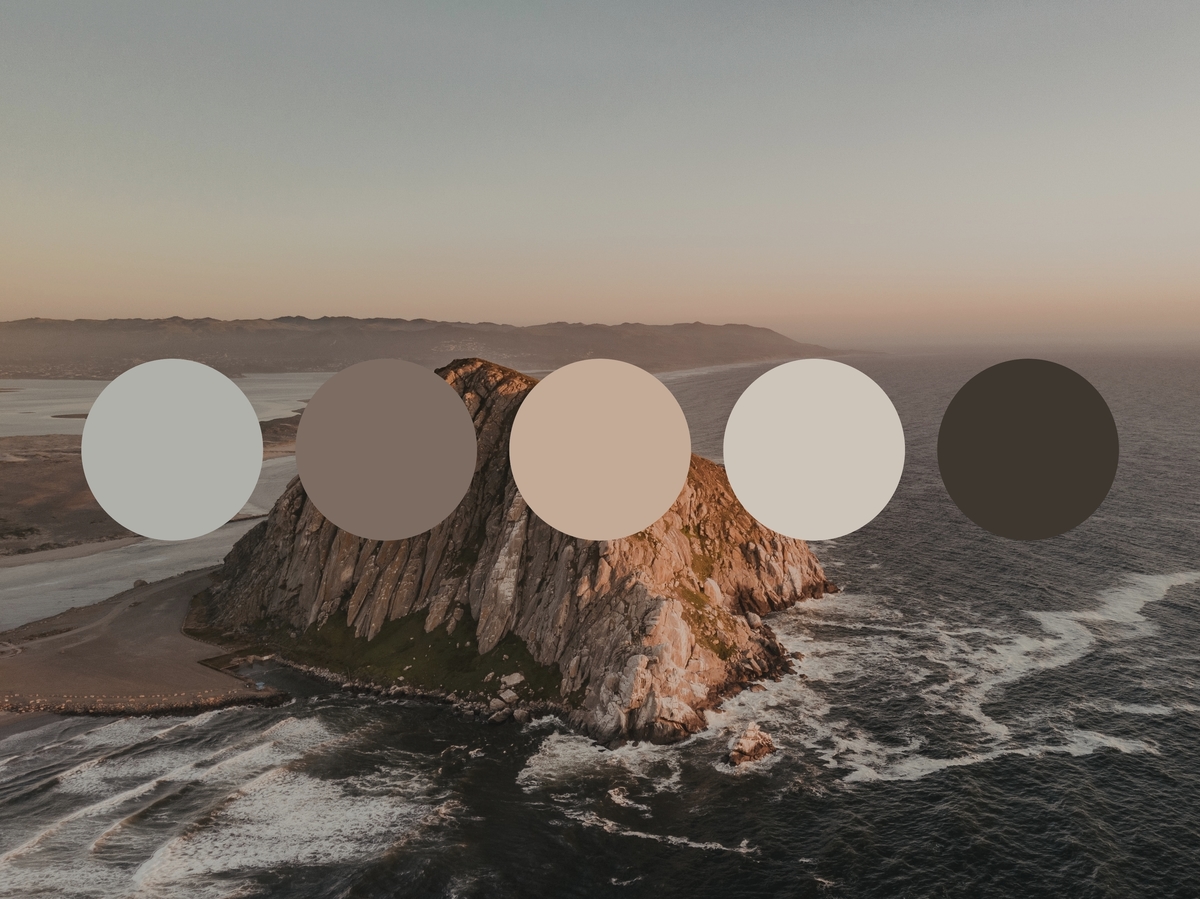 Get color palette inspiration from nature