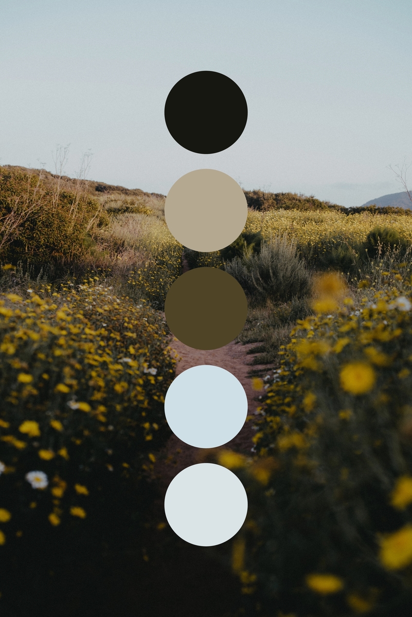 Get color palette inspiration from nature