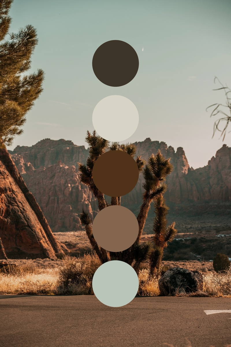 Get color palette inspiration from nature