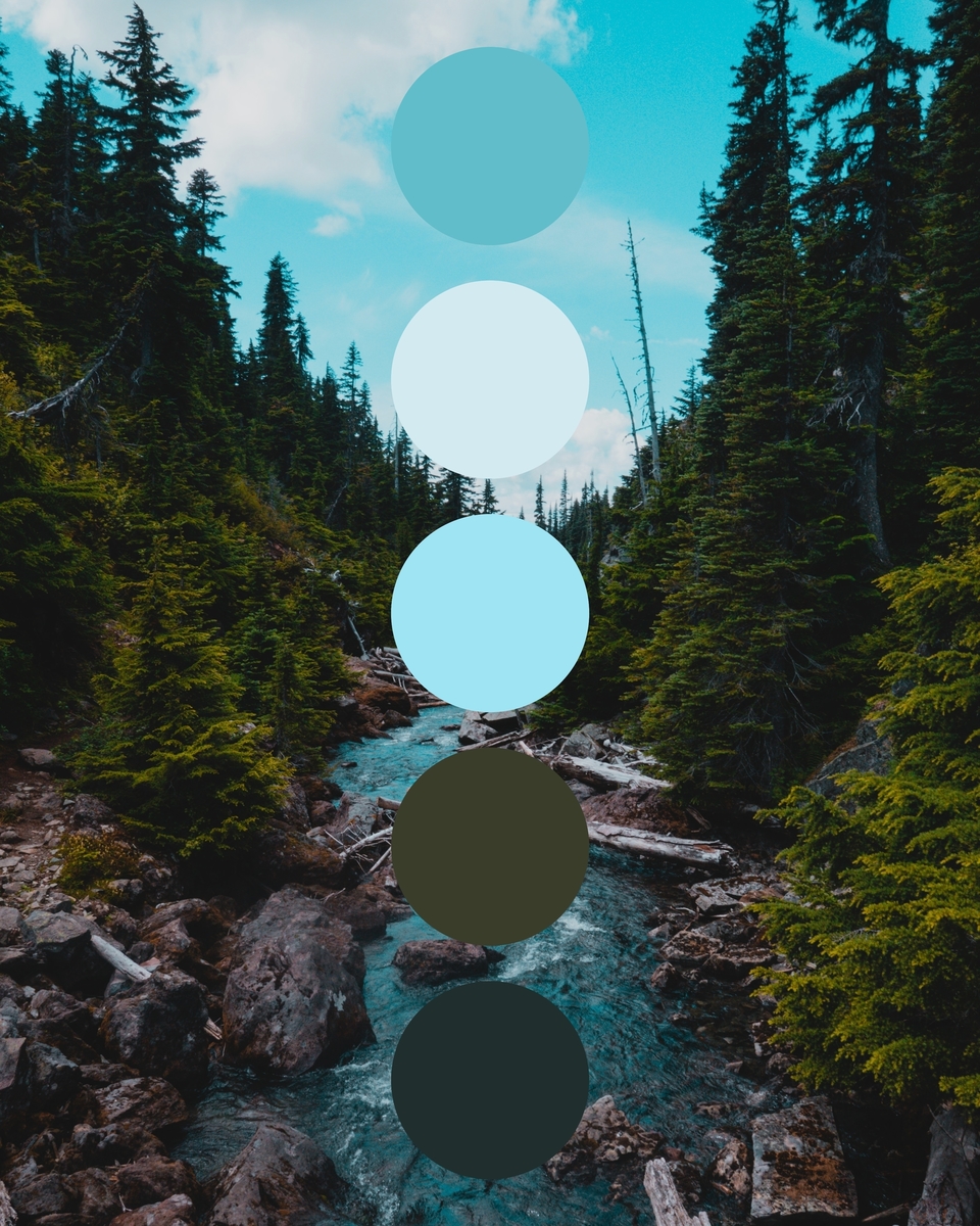 Get color palette inspiration from nature