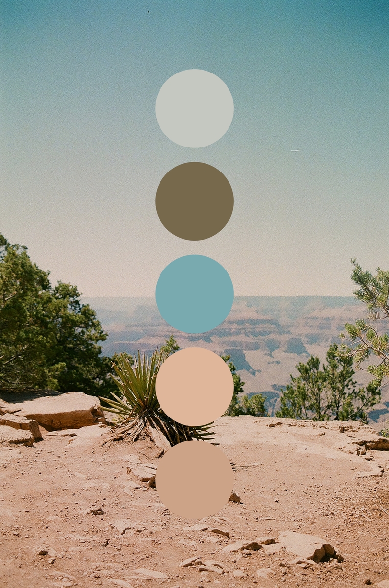 Get color palette inspiration from nature