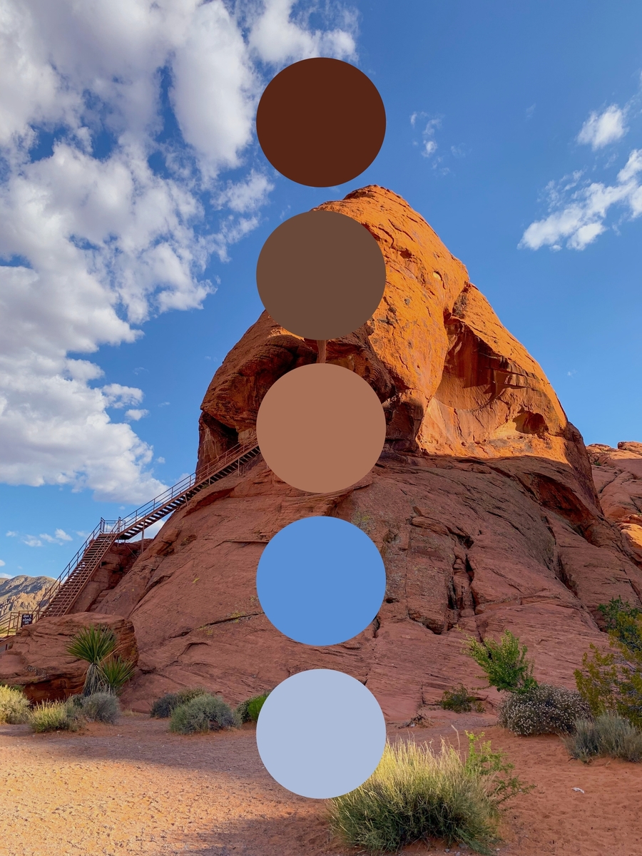 Get color palette inspiration from nature