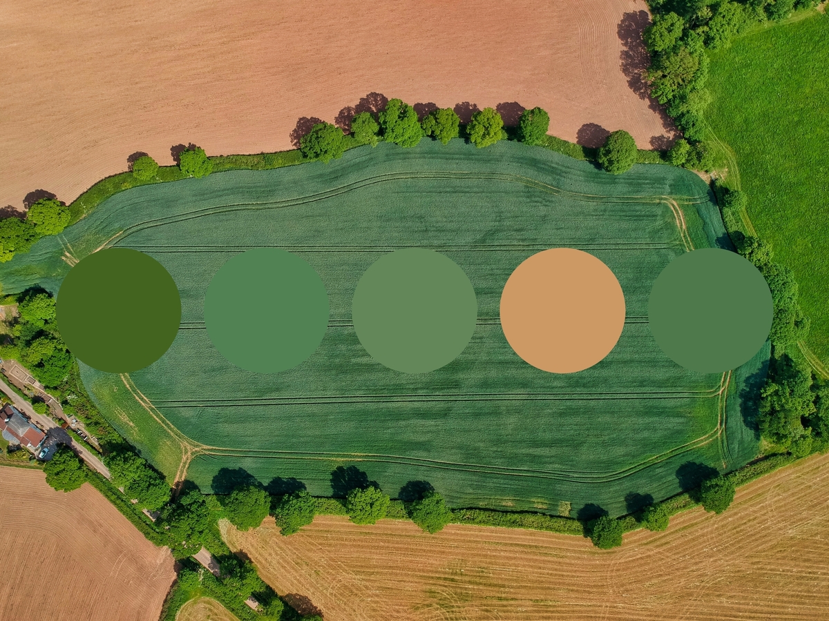 Get color palette inspiration from nature