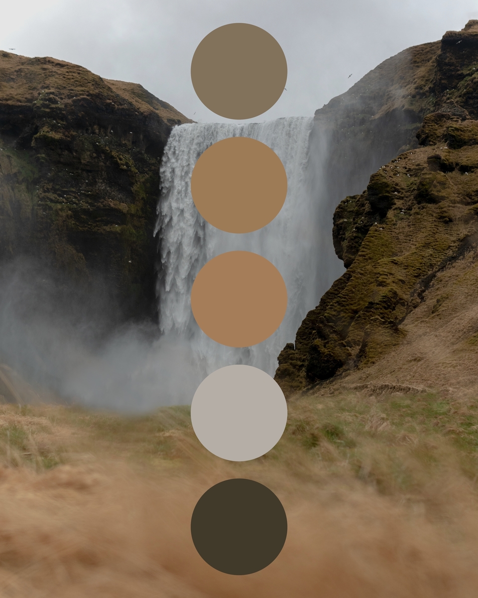 Get color palette inspiration from nature