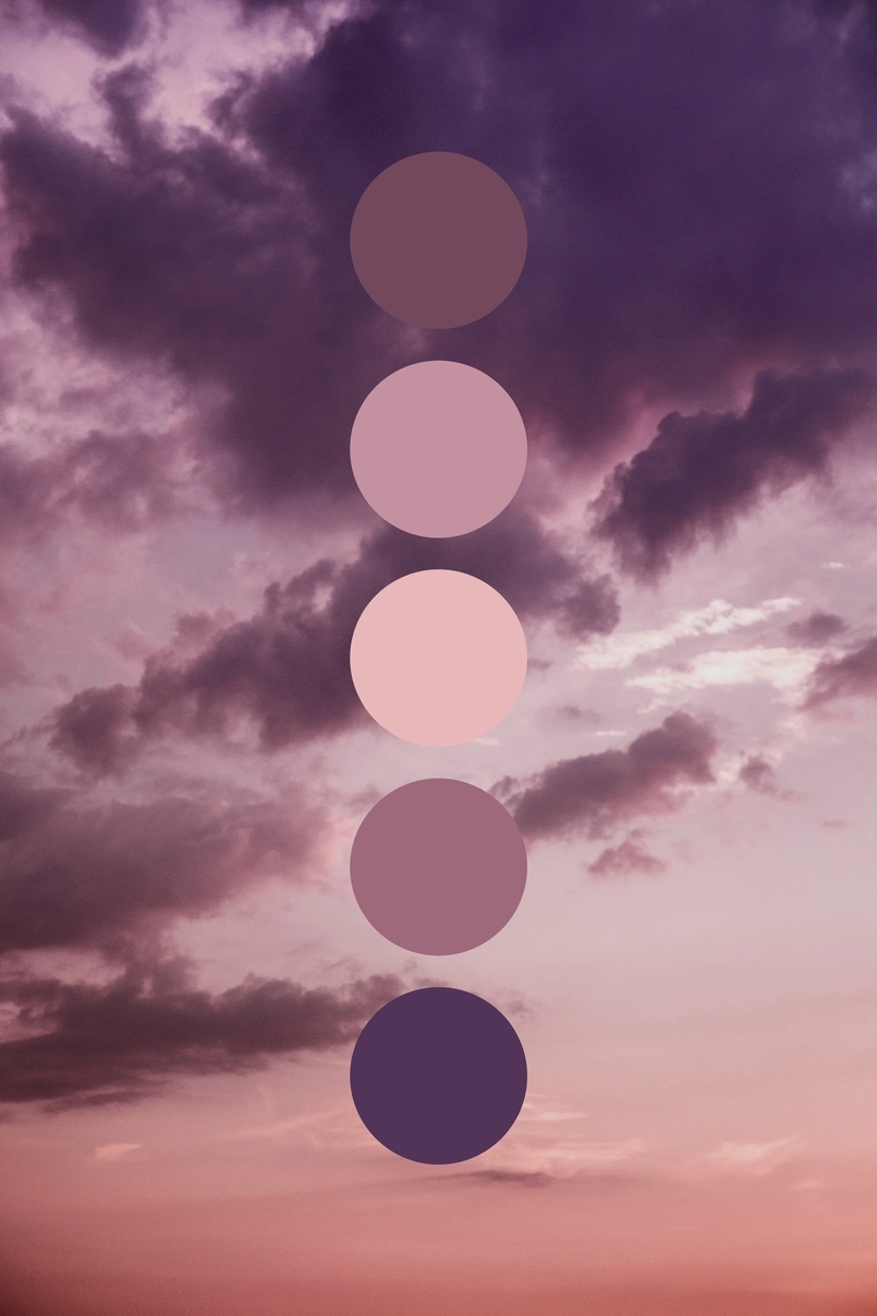 Get color palette inspiration from nature